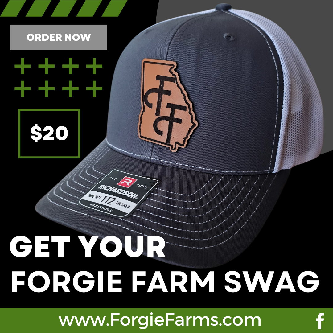 Forgie Farms: Premium Grass Fed, Grain Finished Beef in Effingham Coun